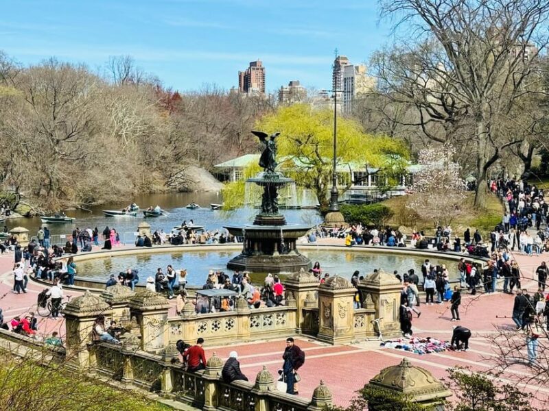 NYC: Private Central Park Pedicab Tours / PICKUP FROM MUSEUM - Frequently Asked Questions