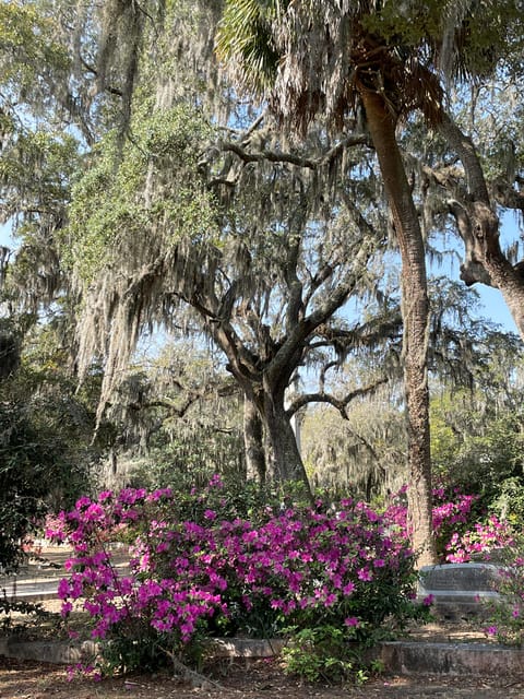 Savannah: Bonaventure Cemetery Golf Cart Guided Tour - The Itinerary: What to Expect