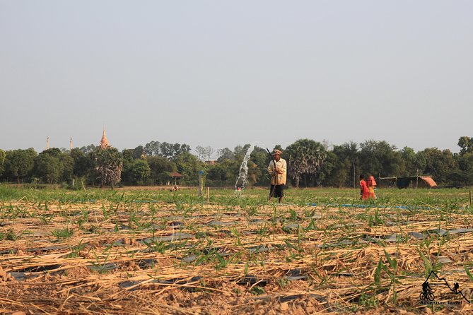 Silk Island & countryside of Phnom Penh by Tuk Tuk - What Could Be Improved