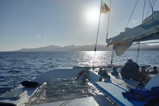Small Group Dolphin Sunset Tour on Electric Catamaran Lanzarote - Why This Tour Works for Travelers