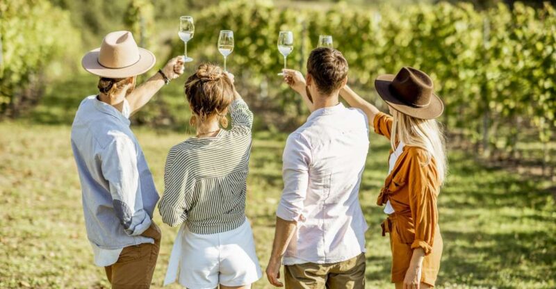 Sonoma Valley: Guided Winery Tour with Picnic Lunch - Practical Details and What to Expect