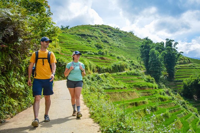 Trekking Through Rice Terraced Fields - 1Day - The Highlight: The Rice Terraces and Mountain Views