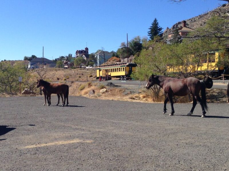 Virginia City Day Tour From Lake Tahoe - Transportation and Duration