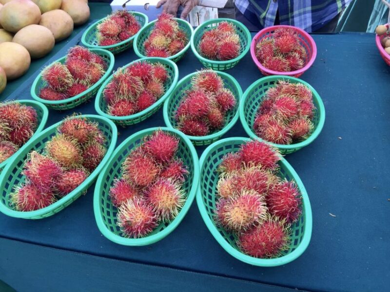 West Palm Beach: Mornings in the Market Food Tour - Who Will Love This Tour?