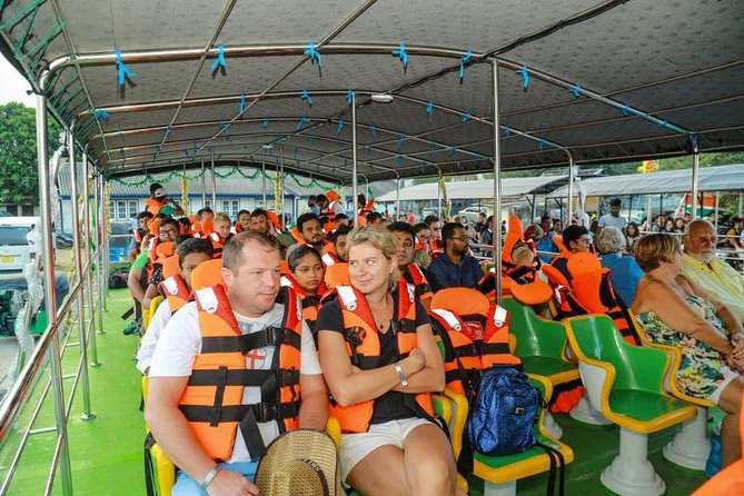 Whales and Dolphins Watching-Luxury Super Grade Cruiser(Hotel Pick up offered) - Who Is This Tour Best Suited For?