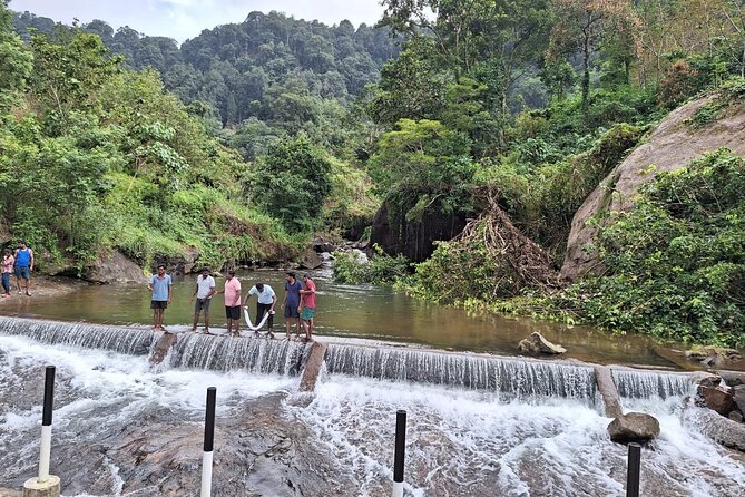 Wild Elephant Anakulam & Waterfalls Tour(munnar valley Trekking) - FAQ