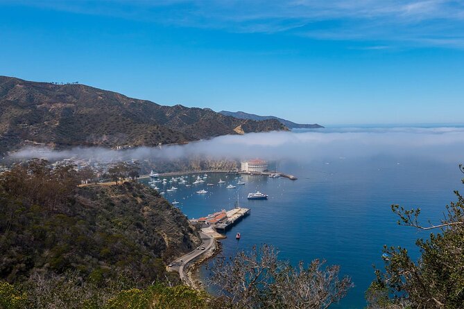 2 hour Inside Adventure Tour on Catalina Island - An In-Depth Review of the 2-Hour Inside Adventure Tour