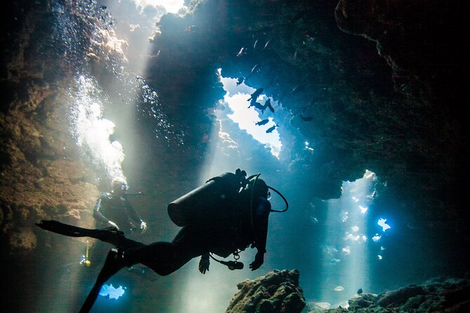 2 Tank Lanai Cathedral Scuba Dive Via Boat for Certified Divers - Exploring the 2 Tank Lanai Cathedral Scuba Dive: A Practical Guide