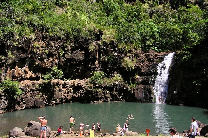 1/2 Circle Island & North Shore Fun with The Surf Bus - Practical Details: What You Need to Know