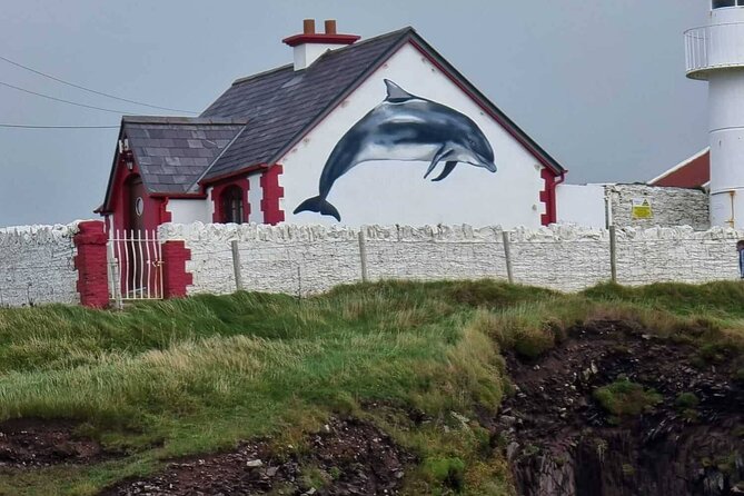 1 Hour Dingle Bay Cliff Tour - Customer Feedback and Experiences