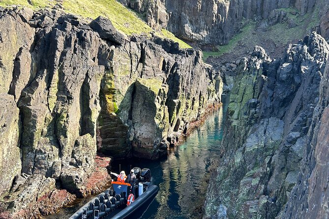 1 Hour Iceland Nature and Wildlife RIB Small Group Guided Safari - Marine Wildlife Encounters