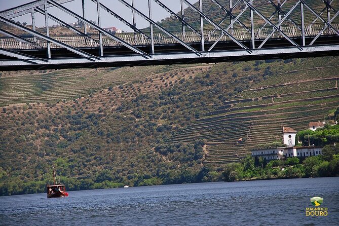 1-Hour Rabelo Boat Trip in Pinhão - Highlights of the Boat Trip