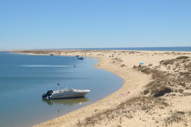 1 or 2 Hour Speed Boat Tour - Ria Formosa - Knowledgeable and Informative Guides