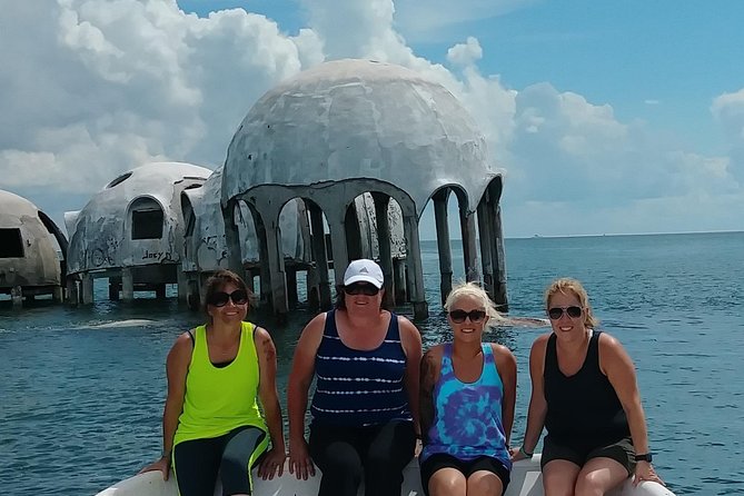 10,000 Islands Excursion Small-Group 3.5 Hour Dolphin & Shelling Boat Tour - Highlights of the Dolphin & Shelling Tour