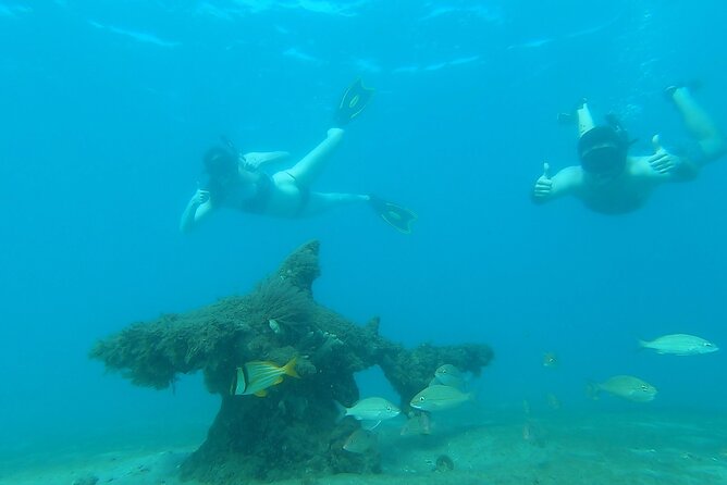 2 ½ - Hour Guided Snorkel Tour of Phil Foster Park, Free Videos! - What to expect during the tour