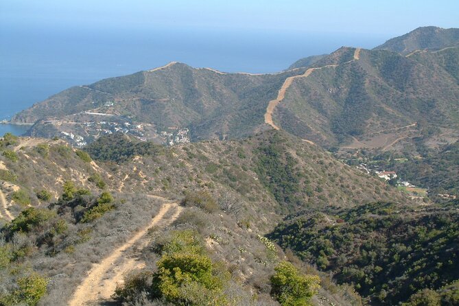 2 hour Inside Adventure Tour on Catalina Island - FAQ