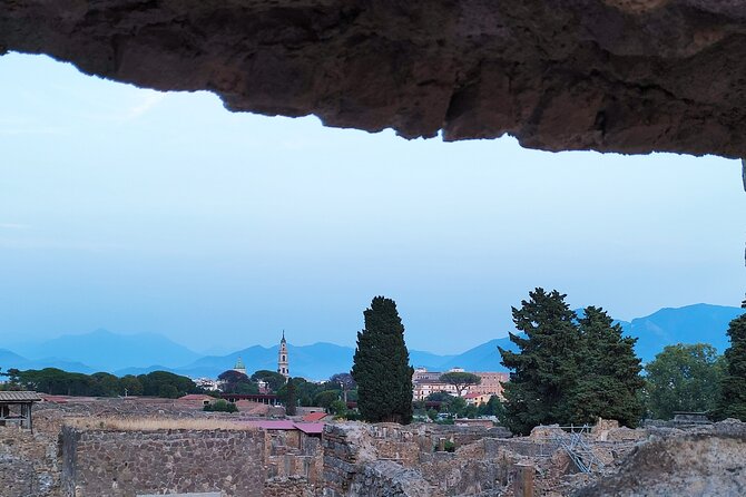 2 Hours Private Tour in Pompeii With Archaeologist - Meeting and Accessibility