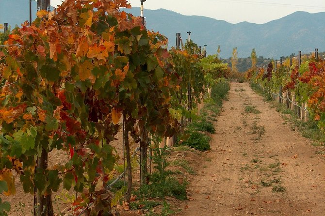 2 Hours Water to Wine Kayak Trip from Cottonwood - Final Thoughts