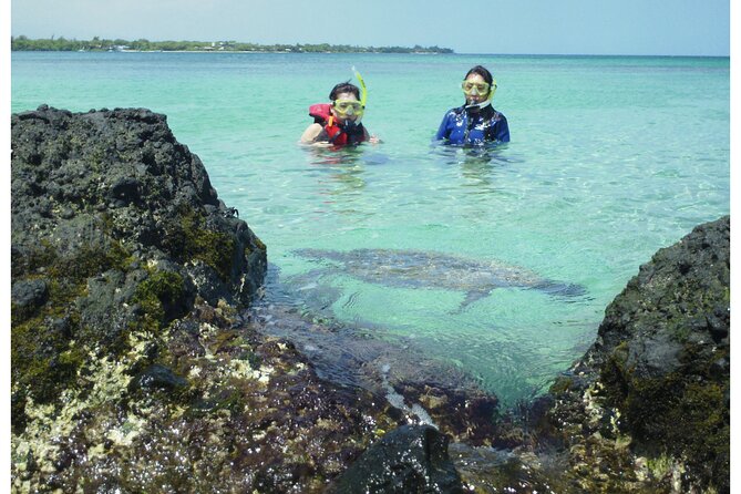 3.5 Hour Kailua-Kona Ocean Kayak and Snorkel Tour - Who Will Love This Tour?