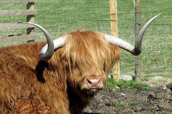 3-Day Isle of Skye Tour Review - Key Attractions and Highlights