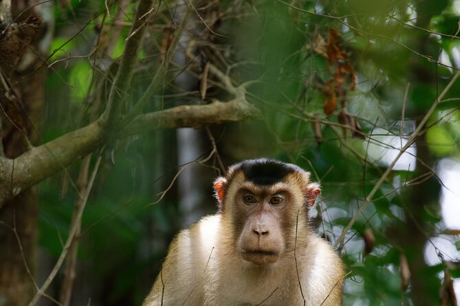 3 Days Bukit Lawang Tour (Happy Jungle) - Final Thoughts