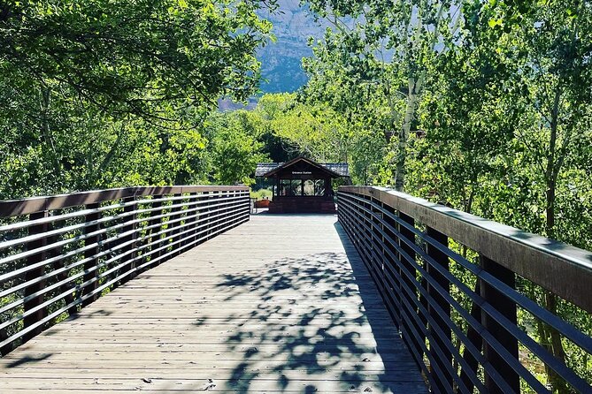 3 Hour Guided E Bike Tour in Zion National Park - Health and Accessibility Information