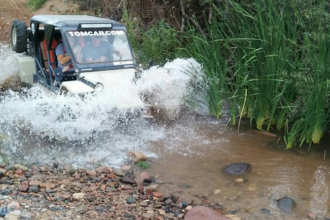3 Hour Guided TomCar ATV Experience in Sonoran Desert - Who Will Love This Tour?