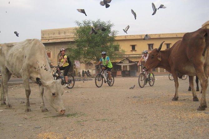 3-Hour Morning Bike Tour of Jaipur - Detailed Itinerary Breakdown