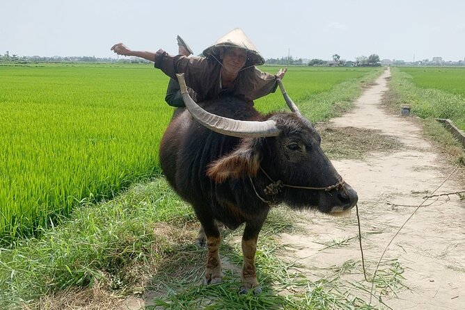 3 Hours Hoi An Countryside Bicycle Tour - Who Will Enjoy This Tour?