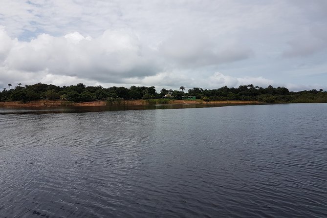 4 Days Amazon Jungle Adventure Tour - Accommodations and Meals