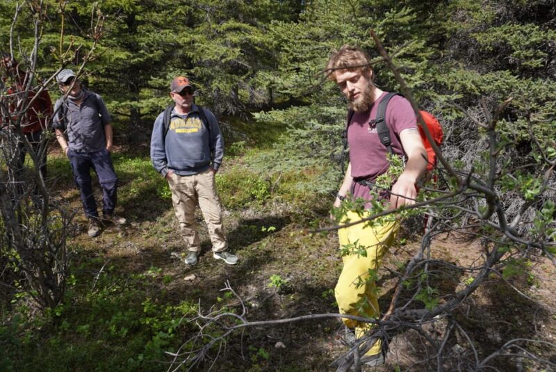 4 Hour Off-Trail Wilderness Wonders Tour in Denali - Final Thoughts: Is This Tour for You?
