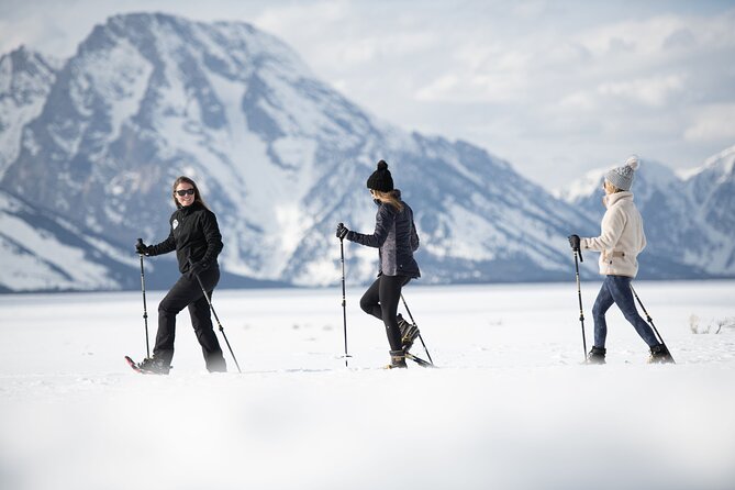 4 Hour Snowshoe in Grand Teton National Park - Guided Tours and Expert Knowledge