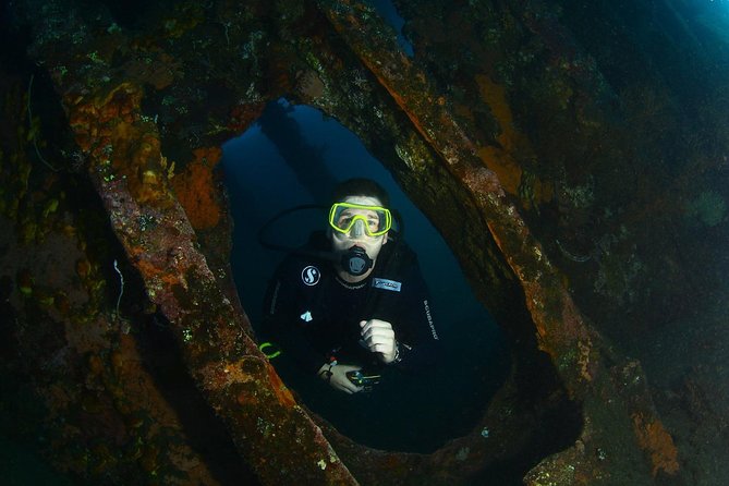 5 Fun Dives in Tulamben (for certified divers) - Discover famous diving sites - What Makes the Experience Special