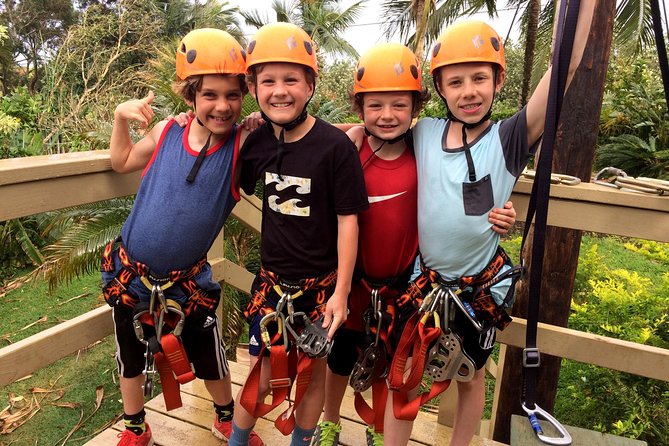 5 Line Jungle Zipline Eco Adventure - Soaring Through the Jungle