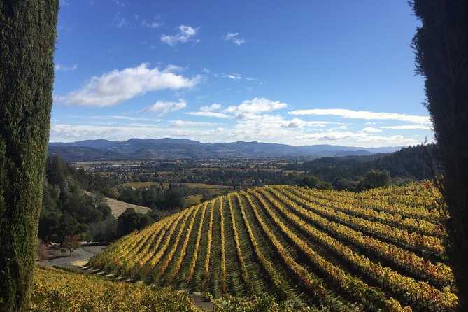 6-Hour Private Wine Country Tour of Napa Valley (up to 6 people) in Large SUV - The Real-World Advantages & Considerations