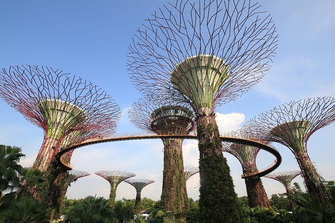 6-Hours Singapore Tour in Private Car or Minibus with Driver - The Value for Money