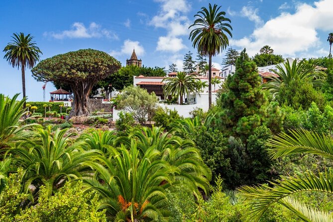 6 Hrs Private Tour In Tenerife - Personalized Pickup and Transportation