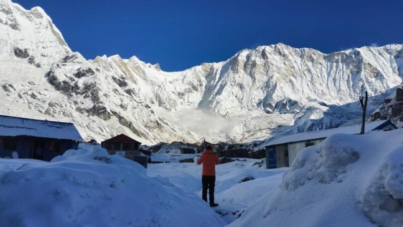 7 Days Annapurna Base Camp Trek: Customized Trip Itinerary - Detailed Breakdown of the Itinerary