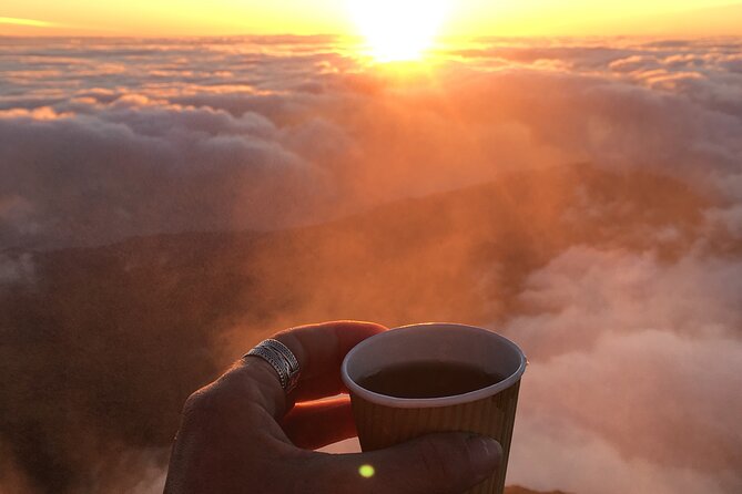 7 Hour Hike Pico Mountain and Piquinho 2351 Meters - Included Services