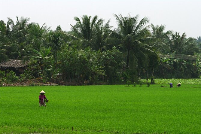 Adventure Cu Chi Tunnels and Mekong Delta Tour From HCM - Authentic Experiences and Honest Feedback