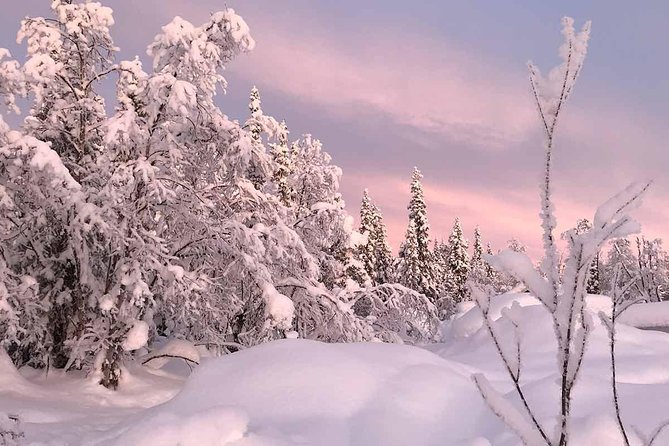 Afternoon Snowmobile Tour - Equipment and Safety Considerations