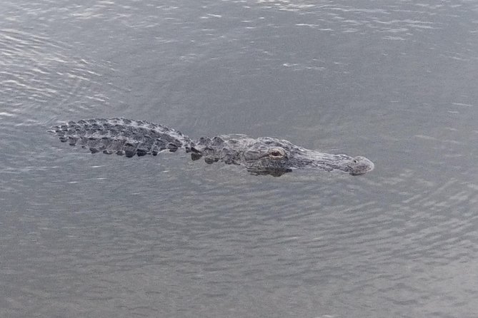 Air Boat Tour of Palm Beach in The Swamp Monster - Pickup and Meeting Details