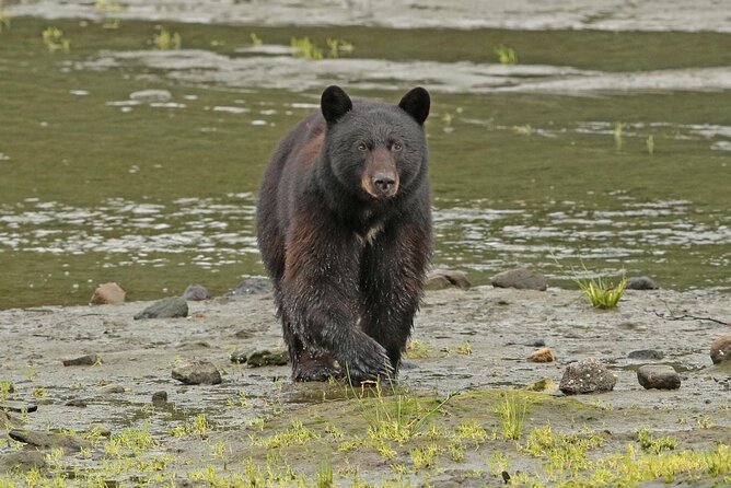 Alaska Native Cultural and Wildlife Adventure - The Value of the Experience