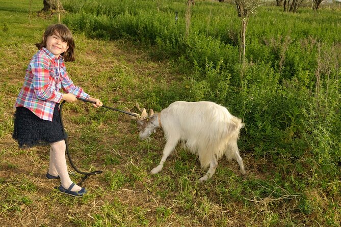 Alcamo Farm Animals and Aromatic Garden - Guided Tour of the Olive Groves, Vineyards, and Citrus Groves