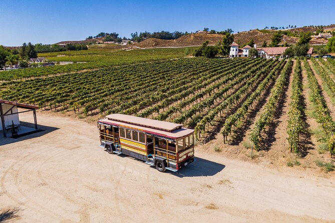 All-Inclusive Social Wine Tour - Meeting and Pickup Details