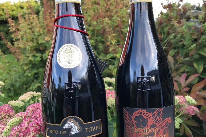 Amarone-Valpolicella Wine Tour - Visit Verona. From Venice - Highlights of the Tour
