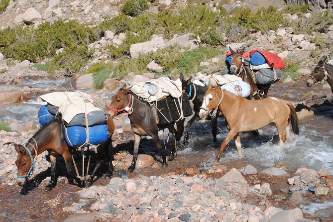 Andes Crossing Cavalcade San Martin Crossing - Meeting and Pickup