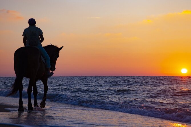 Antalya Horse Riding On Beach And Through The Forests For 2 Hours - Group Size and Guidance