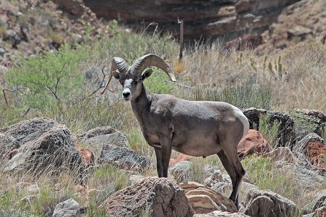 Apache Trail With Dolly Steamboat - Highlights of the Itinerary
