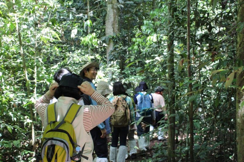 Back to Nature Trekking and Hiking at Khao Yai National Park - Whats Included and Why It Matters